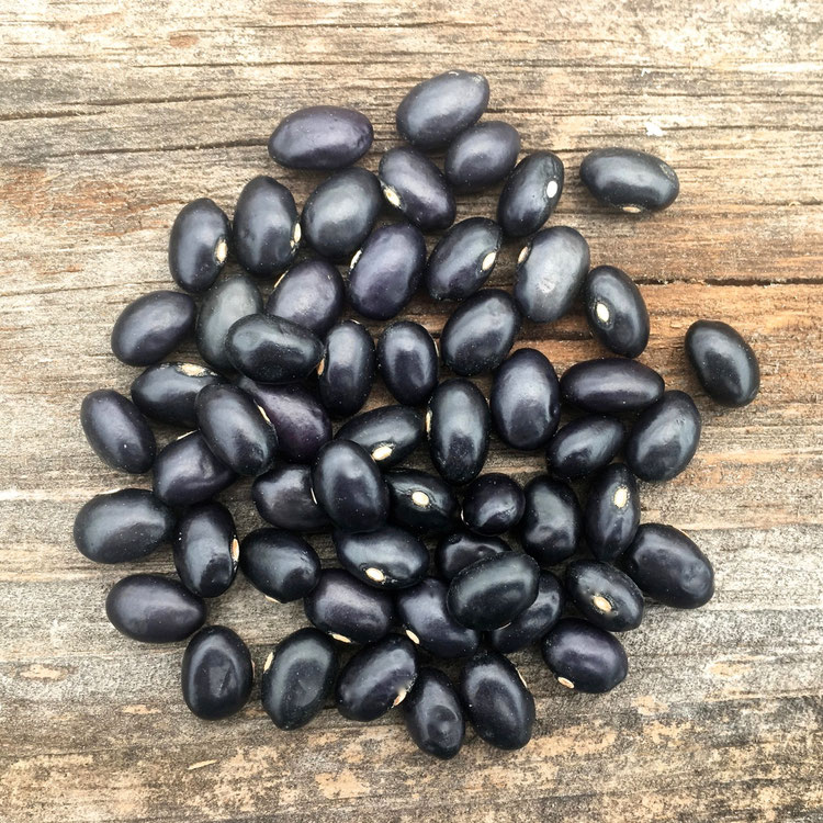 Beans - Baer's Best Beans