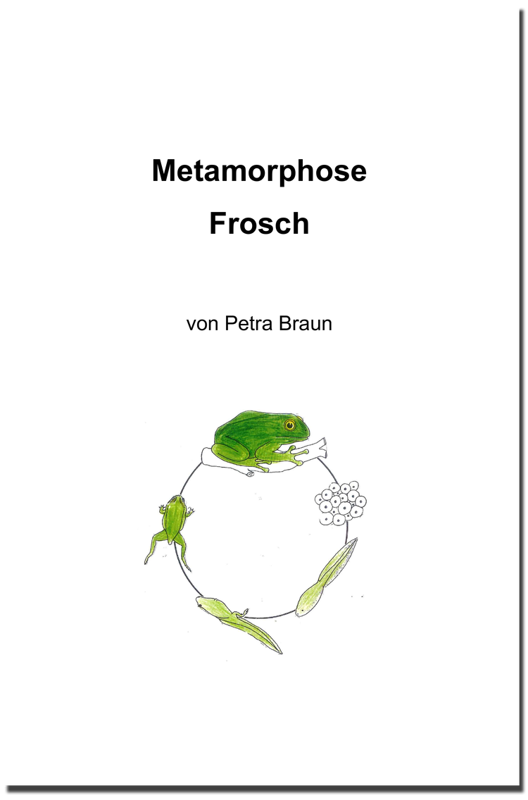 BM170: Forscherheft Metamorphose Frosch - Montessori-Raritäten ...