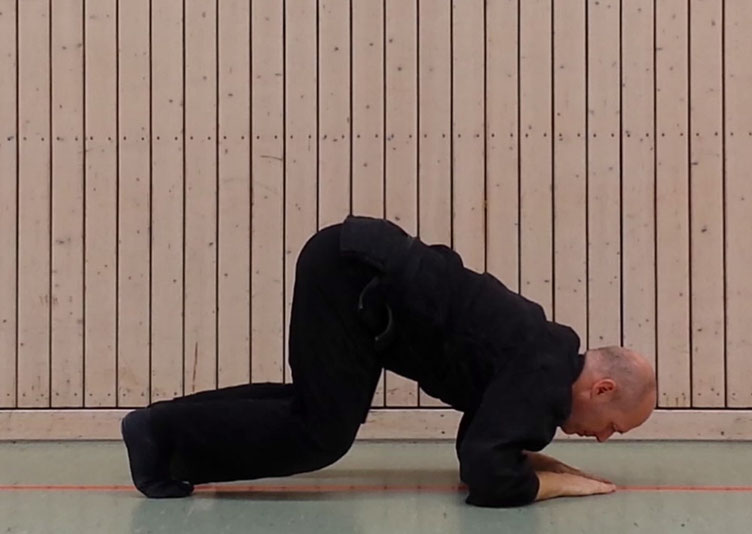 Mae ukemi - Ninjutsu lernen mit Ninpo Ralph