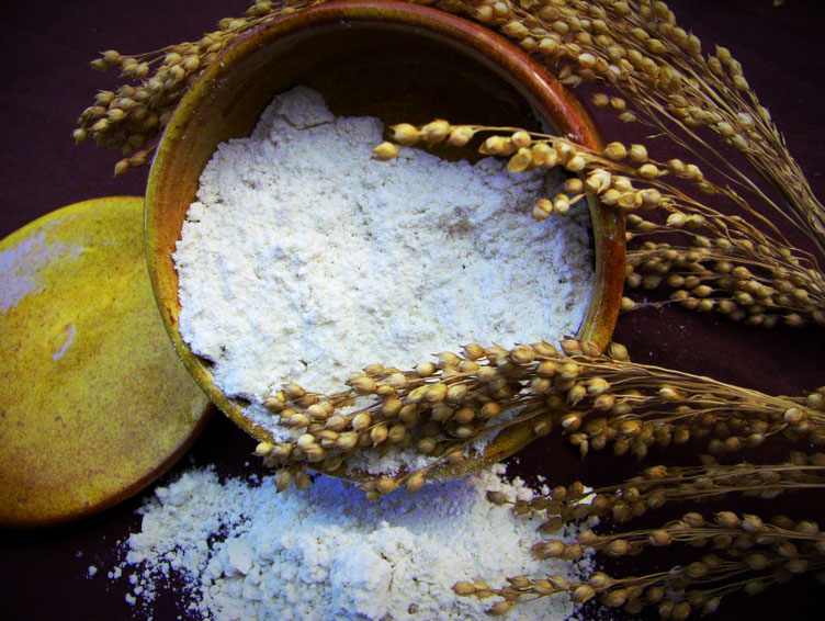 pour comprendre comment cuisiner le millet - Terra Millet