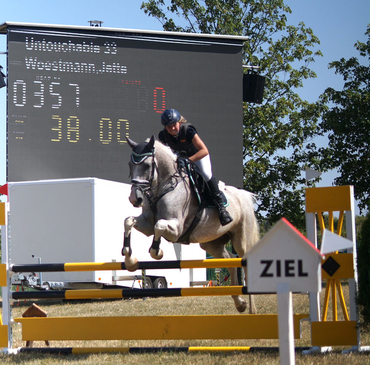 Aktivstall & Equitanas: RFV Zeitz startet in die Reitsport-Zukunft ...