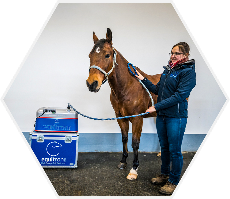 Equitron Pro - REFIT Horse Center