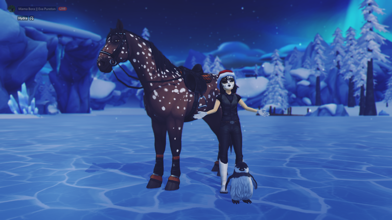 •Gallery• - pumpkin-dressage-ssos Webseite!
