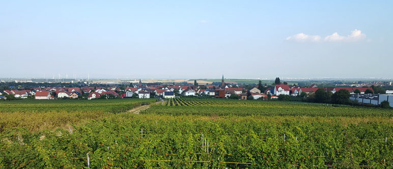 Sausenheim - Ferienwohnung Casa Sausenheim in Grünstadt Sausenheim