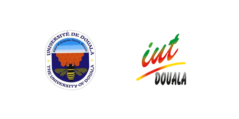 Histoire de l'IUT, Institut Universitaire de Technologie de l ...