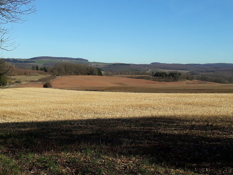 Schrollbacher Höhe - radtouren-westpfalzs Webseite!