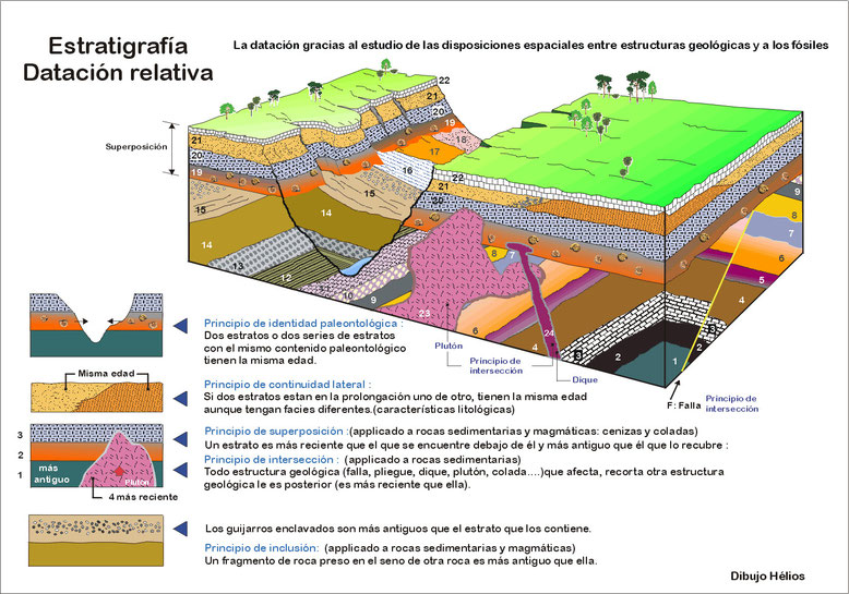 Deformacions i fractures - Página web de biogeorebollet