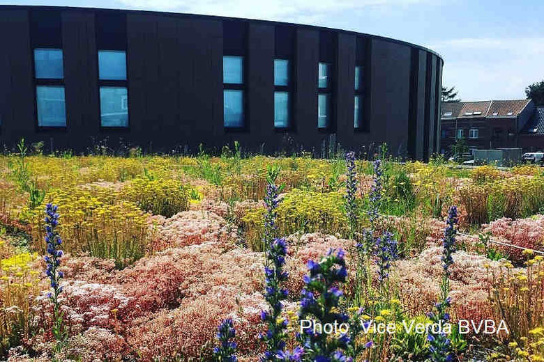 Green Roof Substrates, Planting Substrates - iNTERBiMS