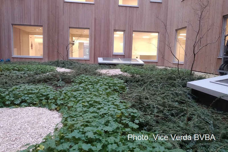 Intensive Substrate, Plant Substrate - iNTERBiMS