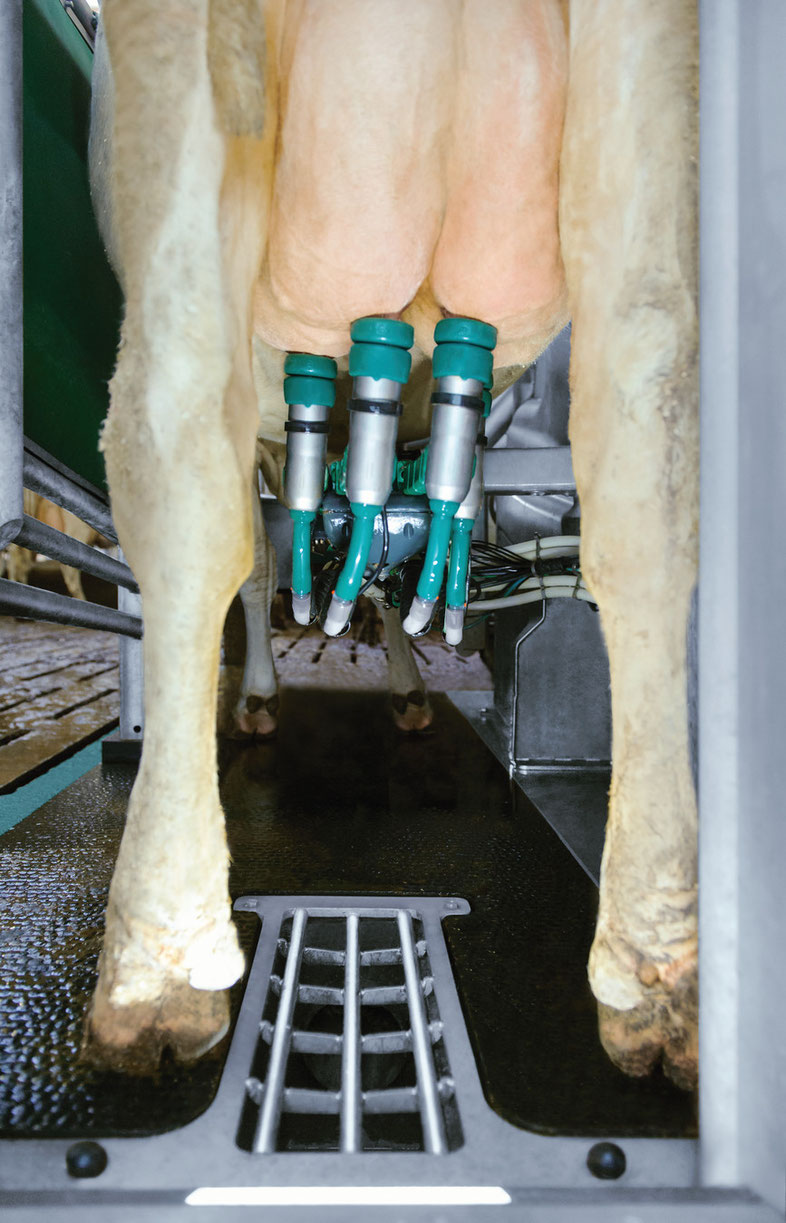 Melkroboter Monobox - Melken - Kühlen - Füttern