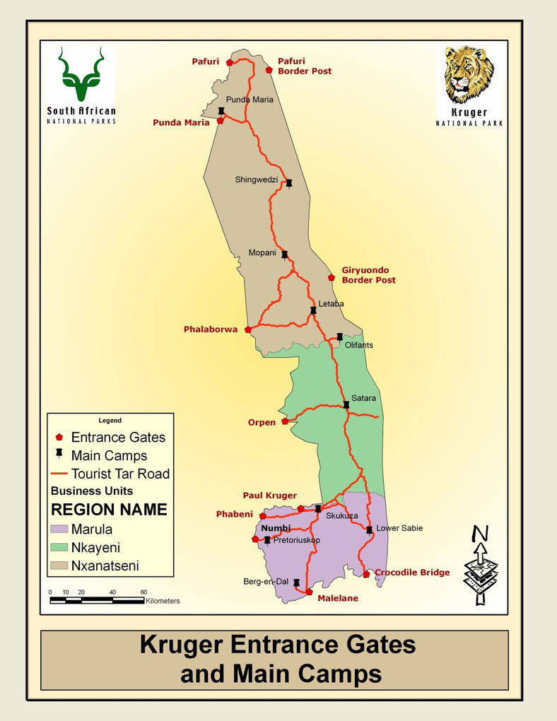 Kruger National Park - Südafrika Reiseportal