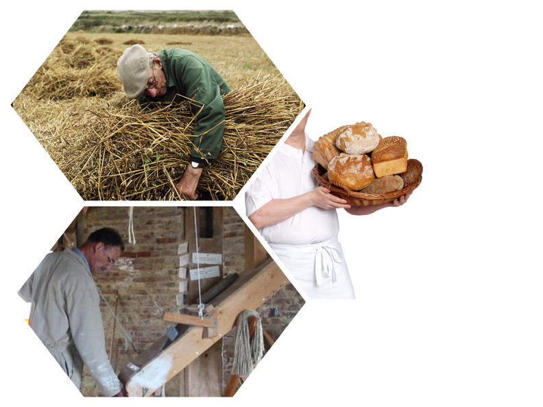 Waarom al die wensen? - De website van Chris Sebrechts.