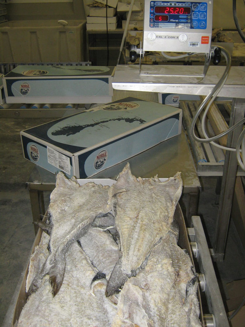 Bacalhau Gadus Morhua / Shaite / Ling –Molva - Special products of ...