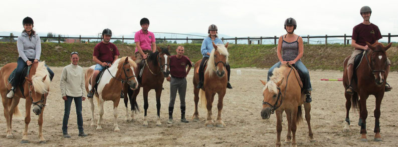 Le Cheval Club - Centre équestre à Obersaasheim (Haut-Rhin)