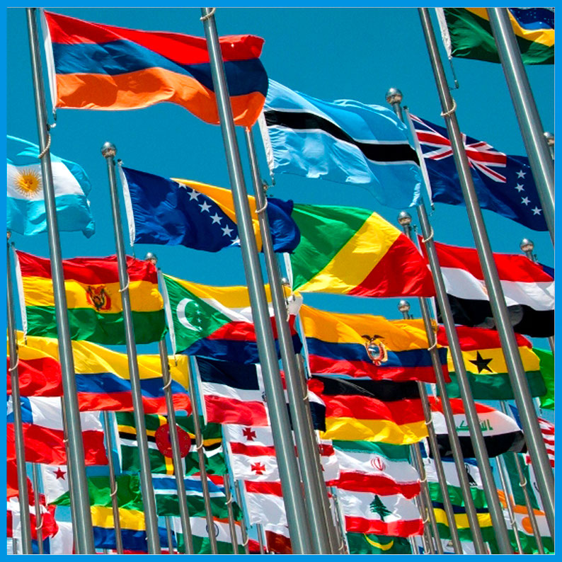 Banderas Institucionales de Alta Calidad para Exterior e Interior - Don ...