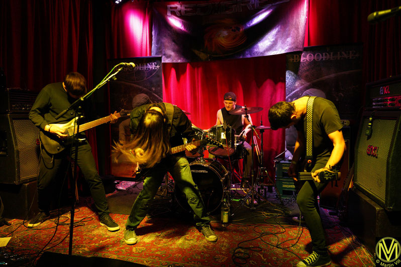 MEDIA - Bloodline-Band Webseite!