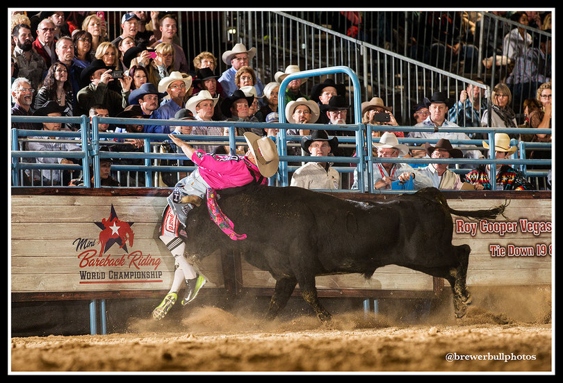 Q&A with Justin Josey - BullfightersOnly.com