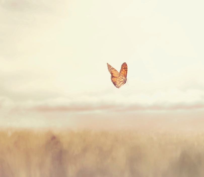 PER - Eric Guin CRYSTAL Conseil