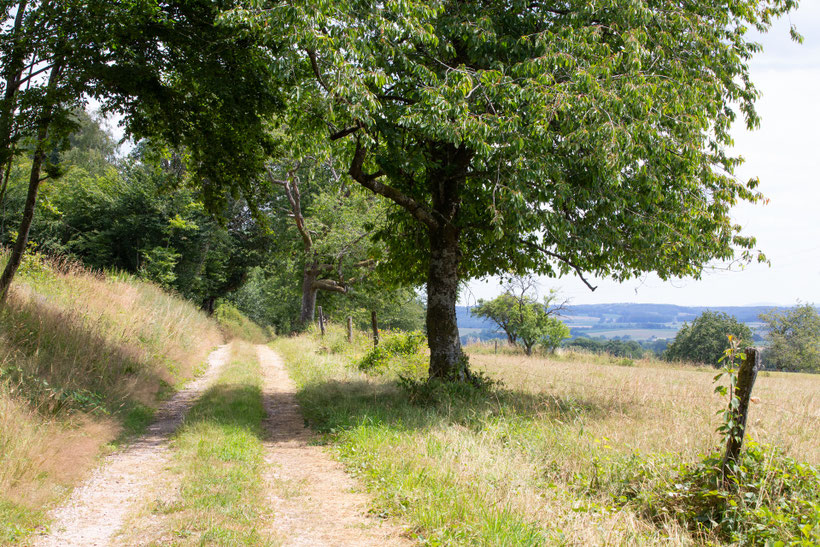 Tourisme à Charmois l'Orgueilleux - Site officiel de Charmois l'Orgueilleux