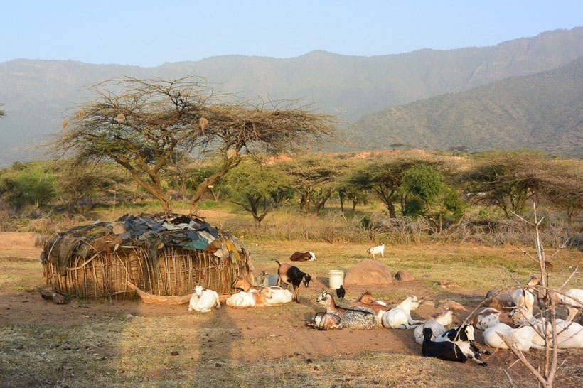 24- PARKATI..., C'est par ici! (24/30) - tdmlesbohaimes