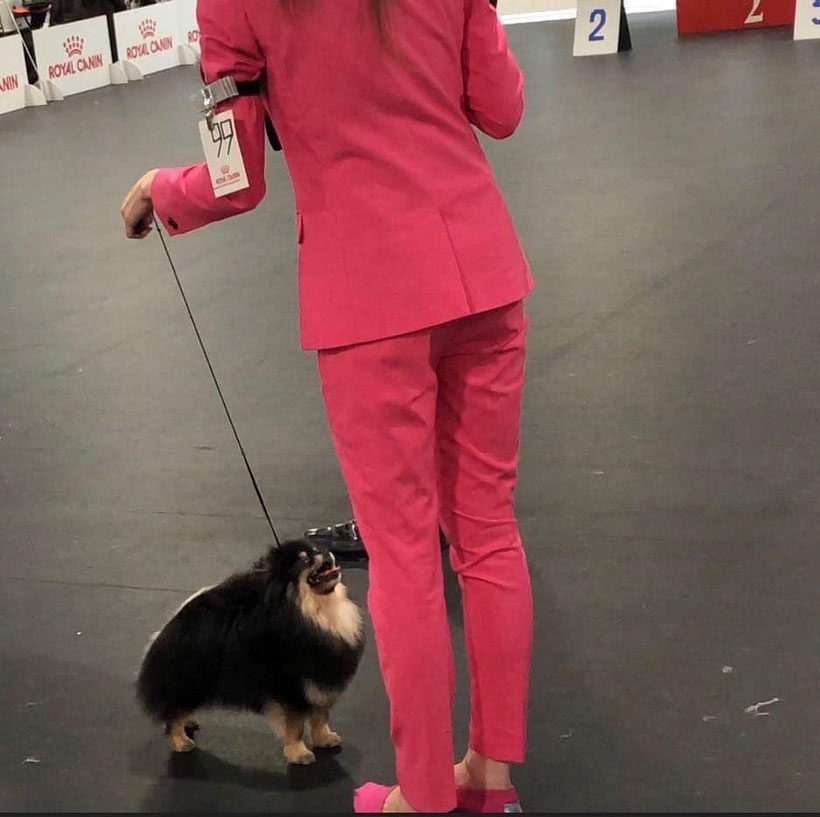 PRIMA LADY SWEET ♀ - junassland