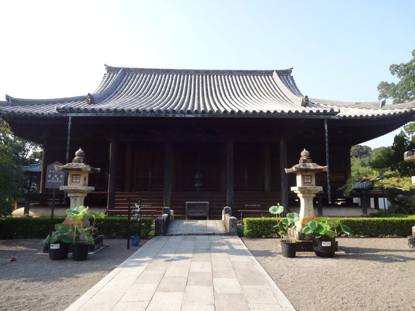 Dojyoji - Hidaka PR Project