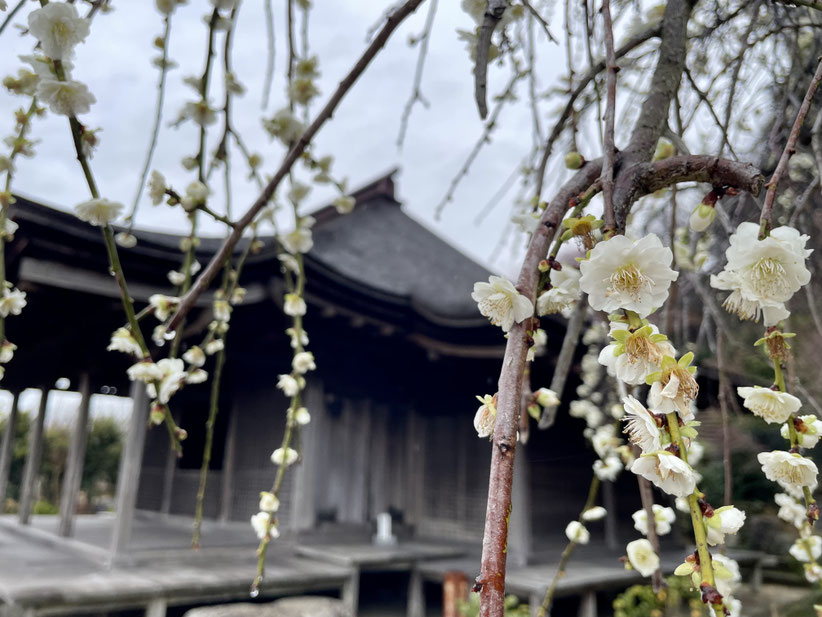 ありがとうございました〜愛知・吉良町きーずハウス - 清水明日香 Ofiicial Website