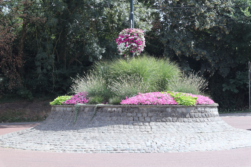 Fleurissement d'une pastille de rond-point - Wallonie en Fleurs