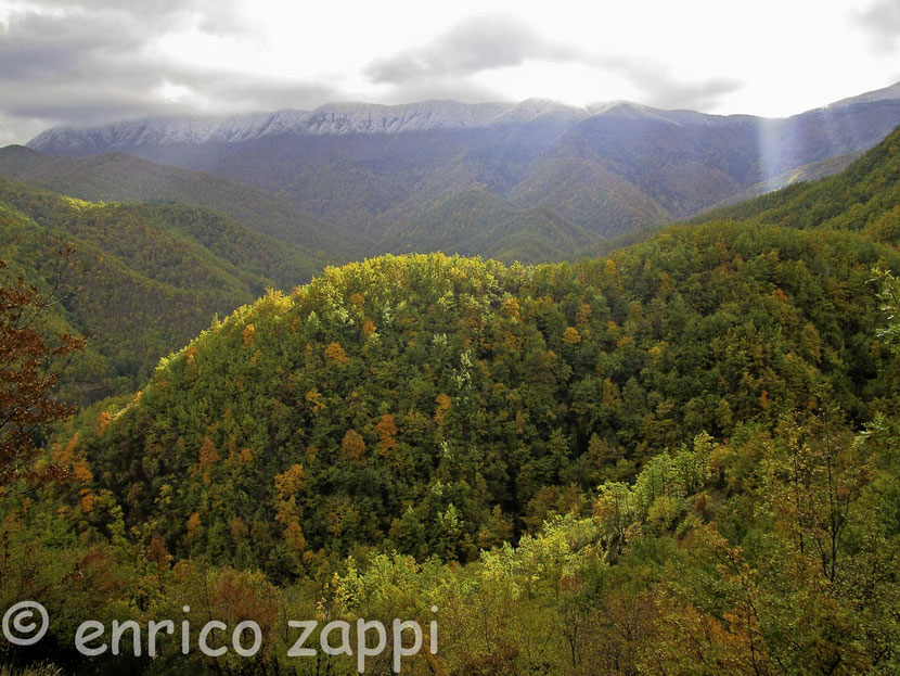Riserva Naturale Integrale di Sasso Fratino, Foreste della Lama e ...
