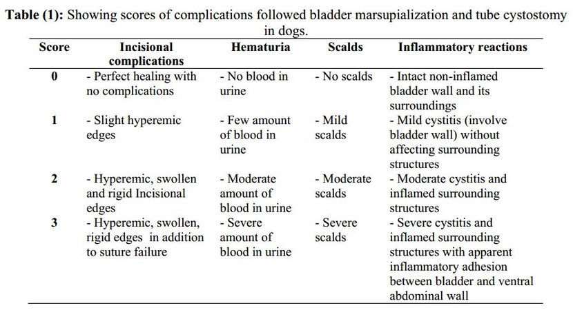 Tube Cystostomy VS Bladder Marsupialization: Clinical and ...