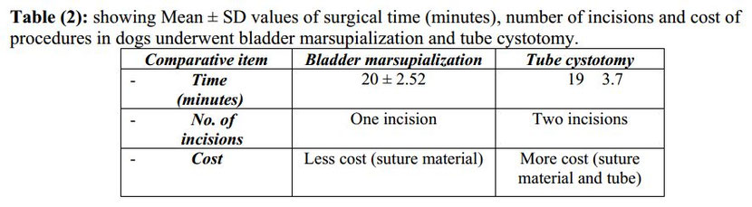 Tube Cystostomy VS Bladder Marsupialization: Clinical and ...