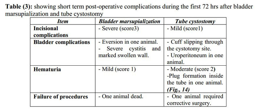 Tube Cystostomy VS Bladder Marsupialization: Clinical and ...
