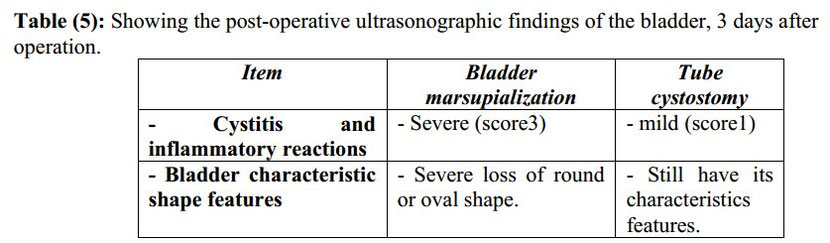 Tube Cystostomy VS Bladder Marsupialization: Clinical and ...