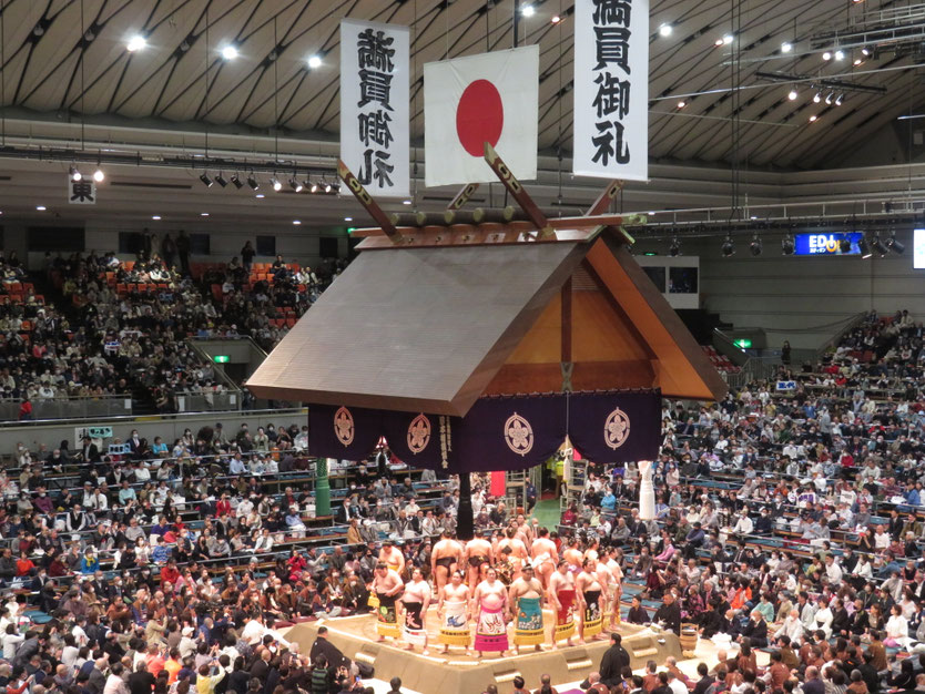 Sumo Tournament in Osaka (March) - Ken Tanaka Tokyo English Tour Guide
