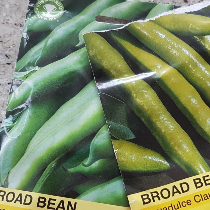 60 Gemüsesorten in 60 Tagen: Favabohnen - Tanjas Küchengarten in ...