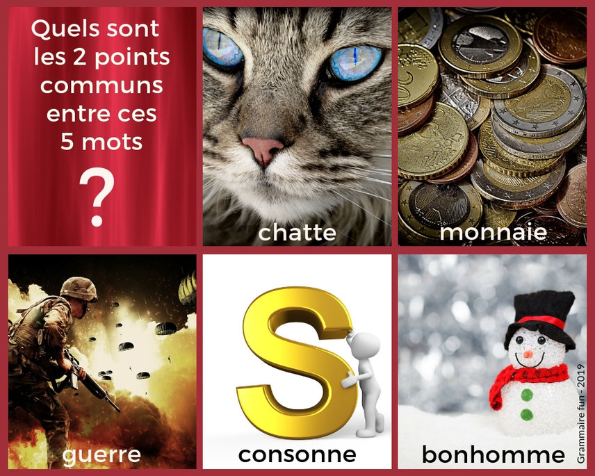 mots de la même famille - Rédactrice & formatrice orthographe et grammaire