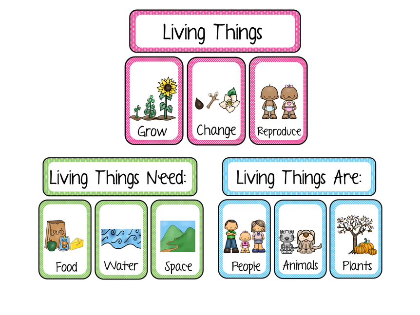 WELCOME TO SCIENCE 2017-2018 - Claret Bilingual