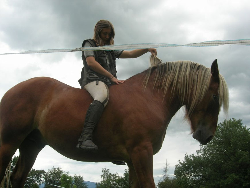 Qui suis-je? - Site de equilien