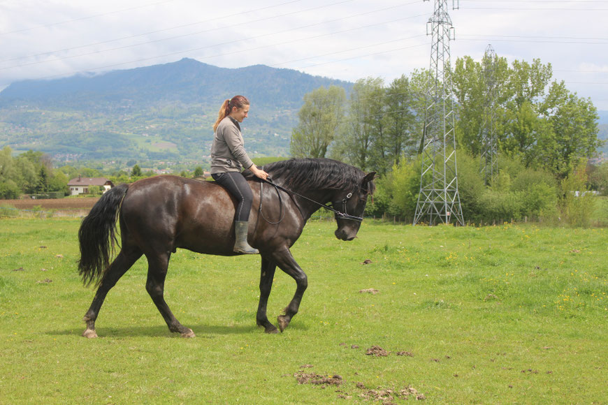 Qui suis-je? - Site de equilien