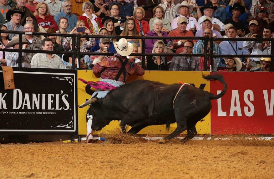 Q&A with Justin Josey - BullfightersOnly.com