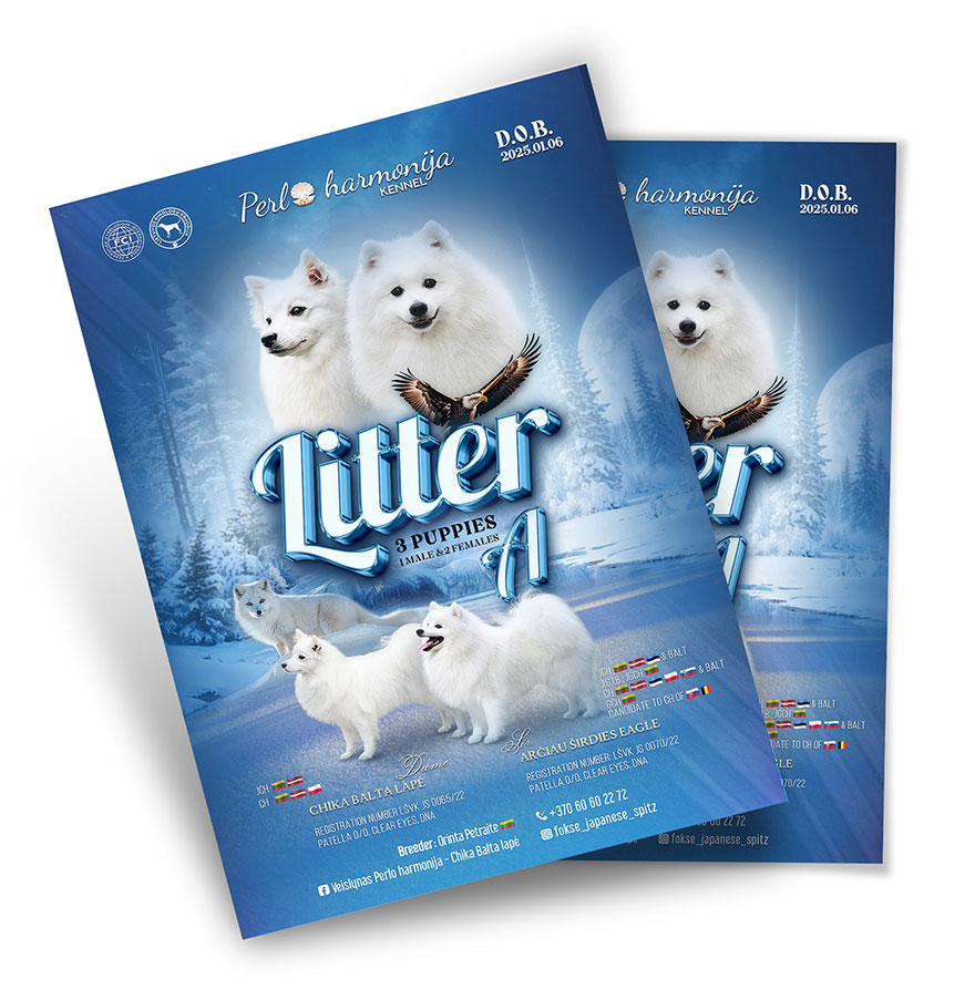 ADVERTISING WITH ANIMALS - PR & Design Studio LA BEAUTY