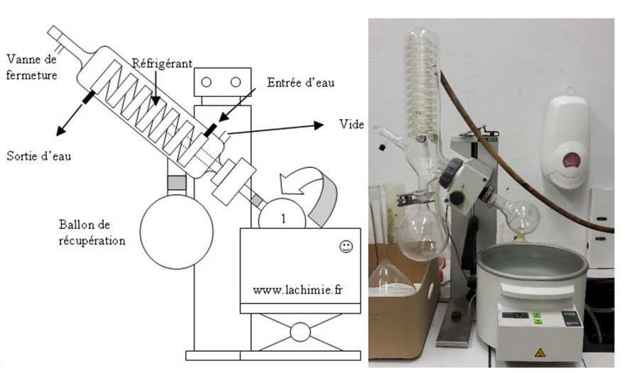 Rotavapor "Bucchi"ou Distillation sous pression réduite - Site ...
