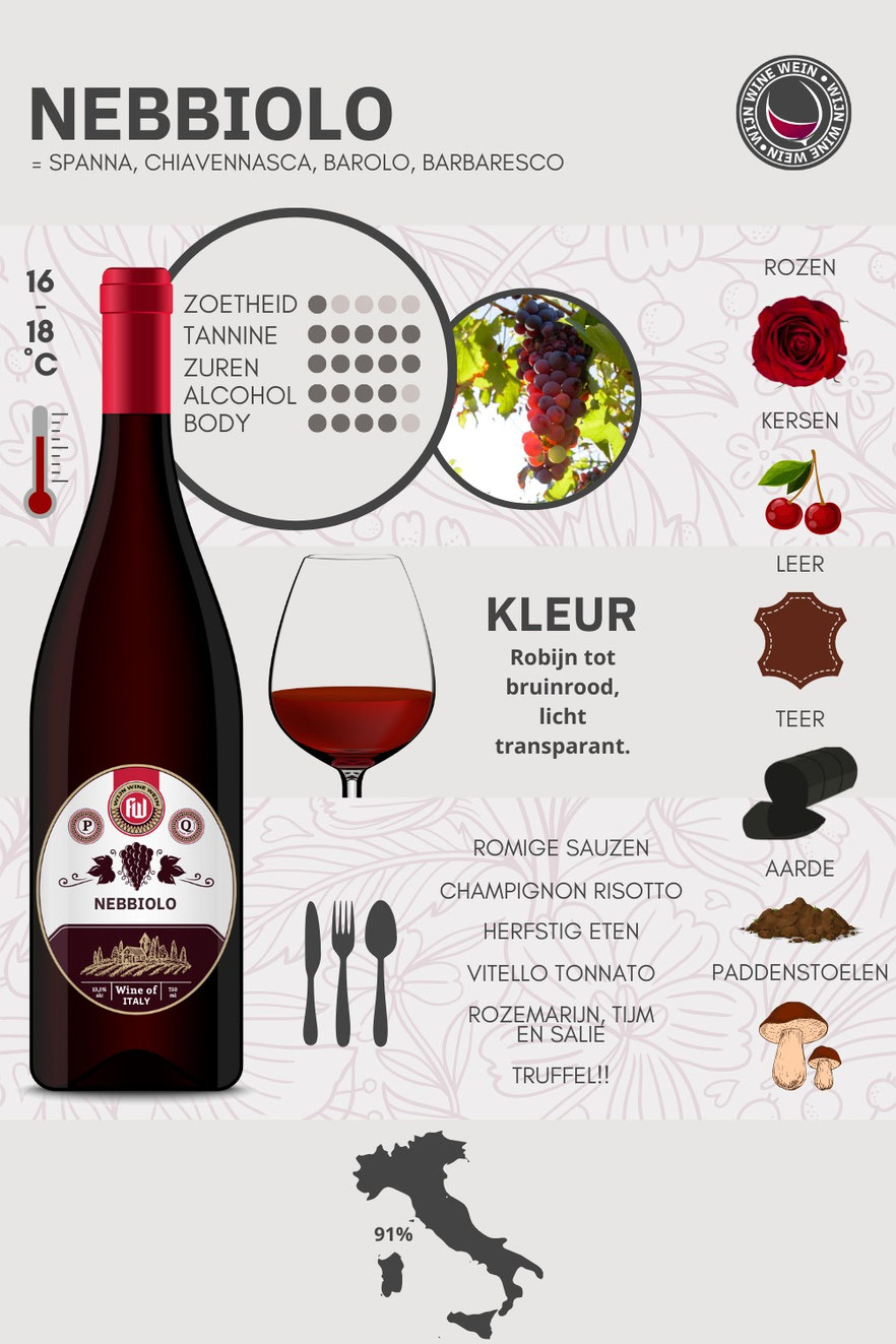 Wat is Nebbiolo? Wijn Guide + Infographic - Wijn Wine Wein