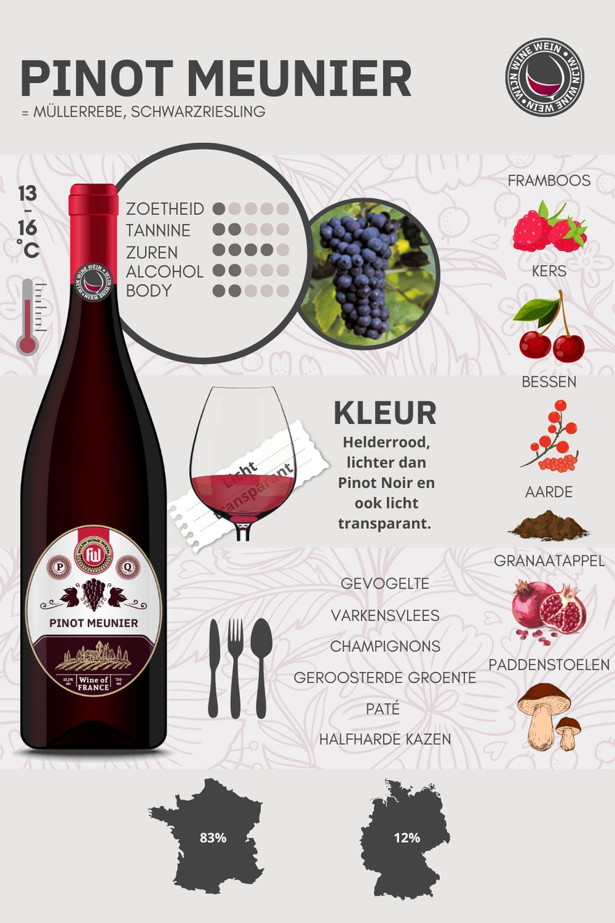 Wat is Pinot Meunier? Wijn Guide 101 - Wijn Wine Wein