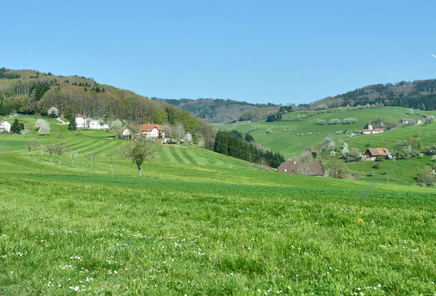 Freiamt - Heimat Mittlerer Schwarzwald
