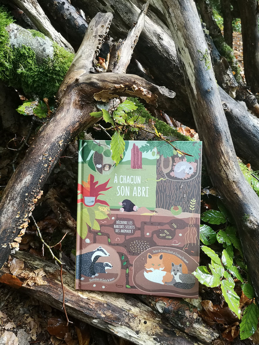 Découvrez les habitats secrets des animaux - Maitresse-on-lit-quoi