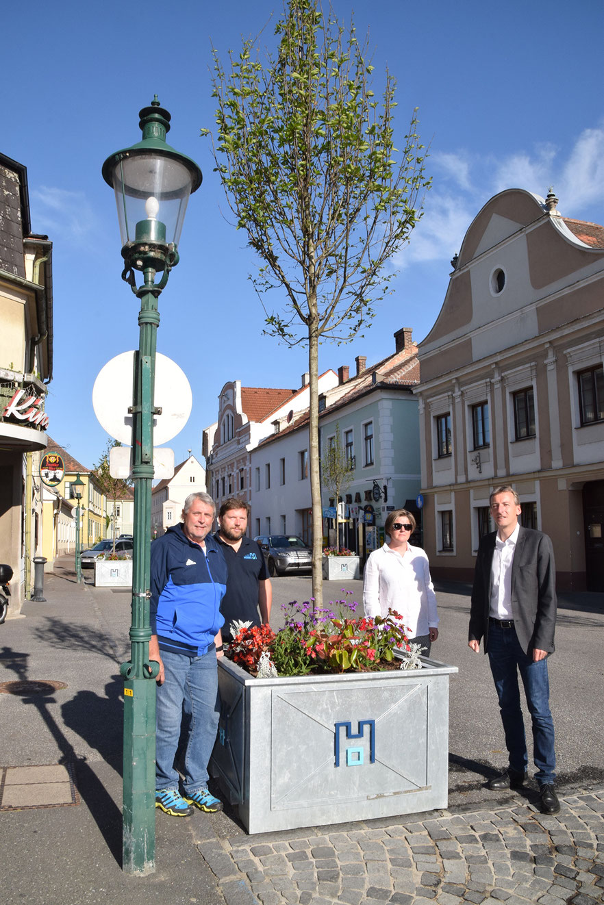 Mobile Bäume für die Horner Innenstadt - Horner Internet Zeitung