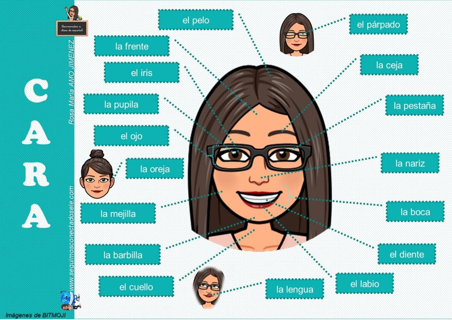 El cuerpo y la cara - Página web de seguimosconectados