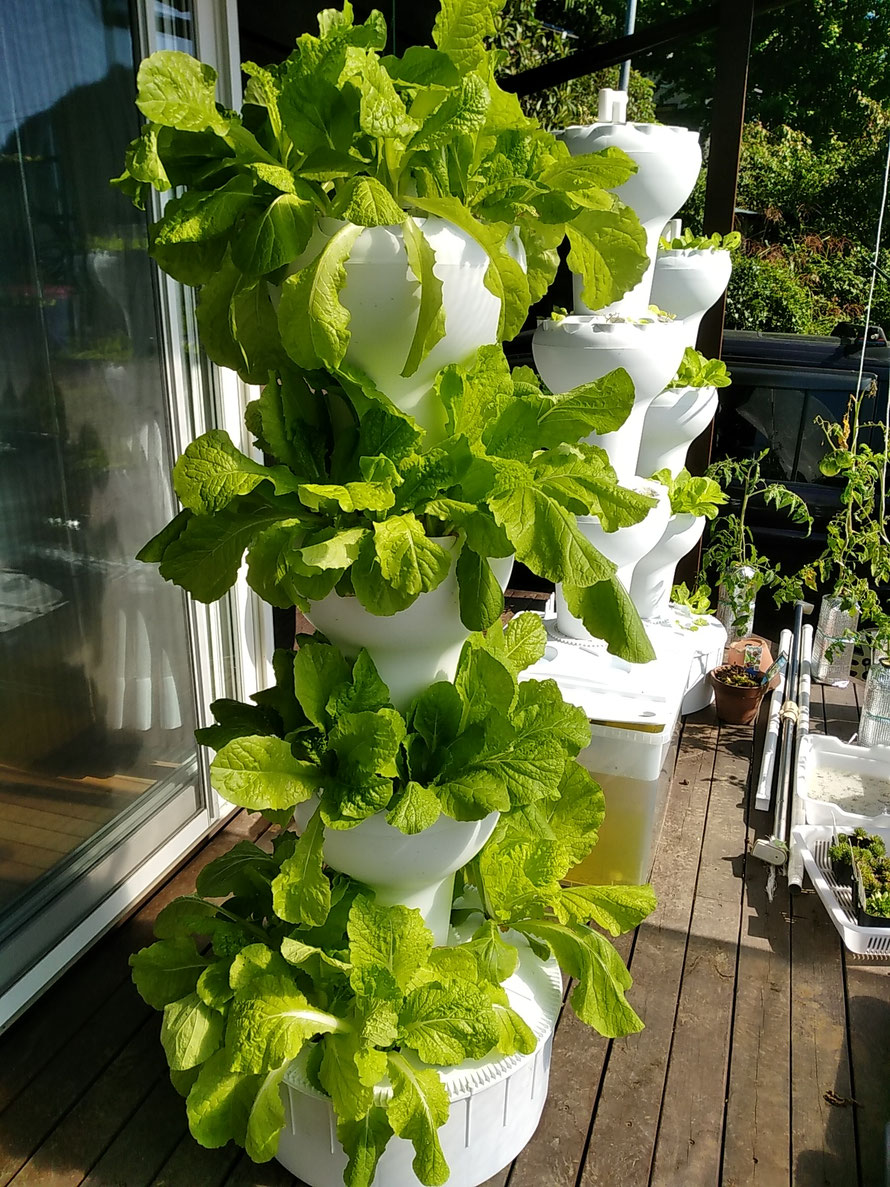 タワーポニックス Tower Ponics - タワー型の水耕栽培器