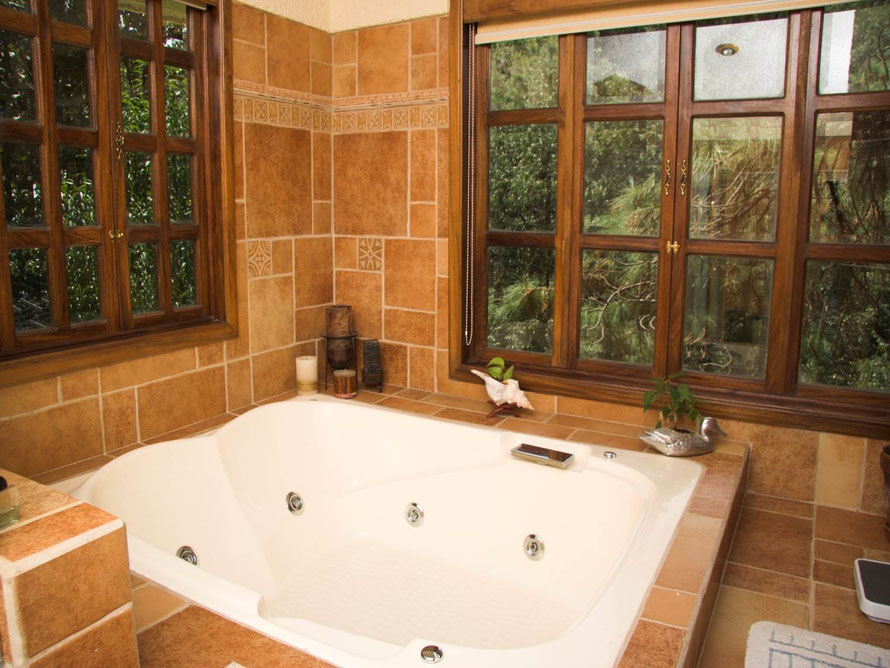 RECAMARA PRINCIPAL CON BAÑO JACUZZI, VESTIDOR Y BALCON - Página web de ...